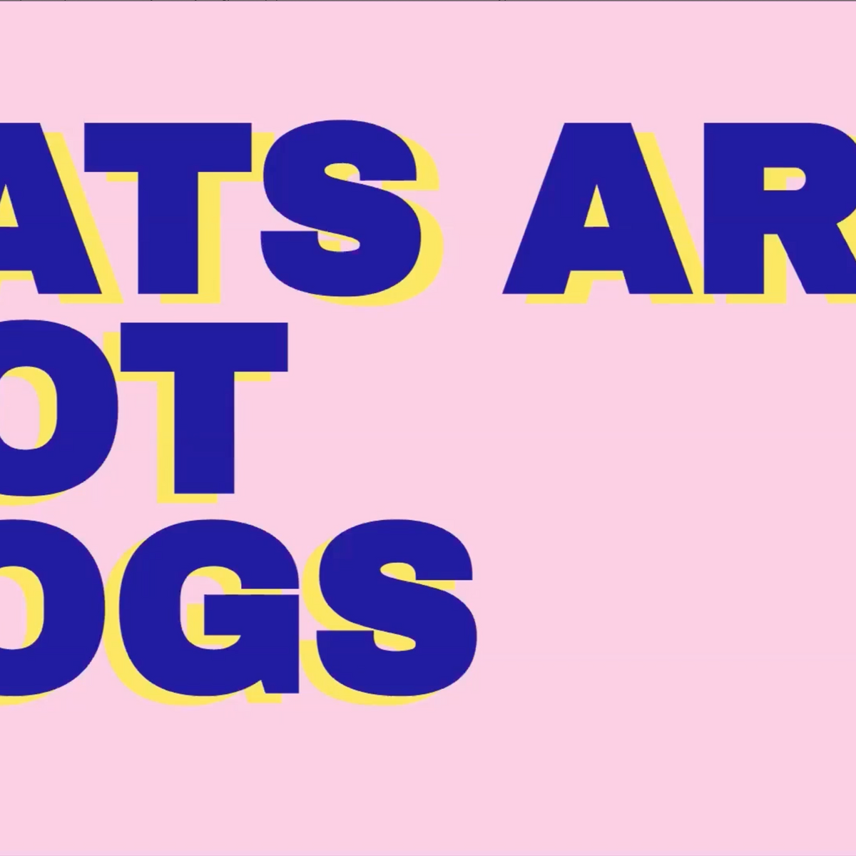 How to Harness Train a Cat at the Travel Cat Summit