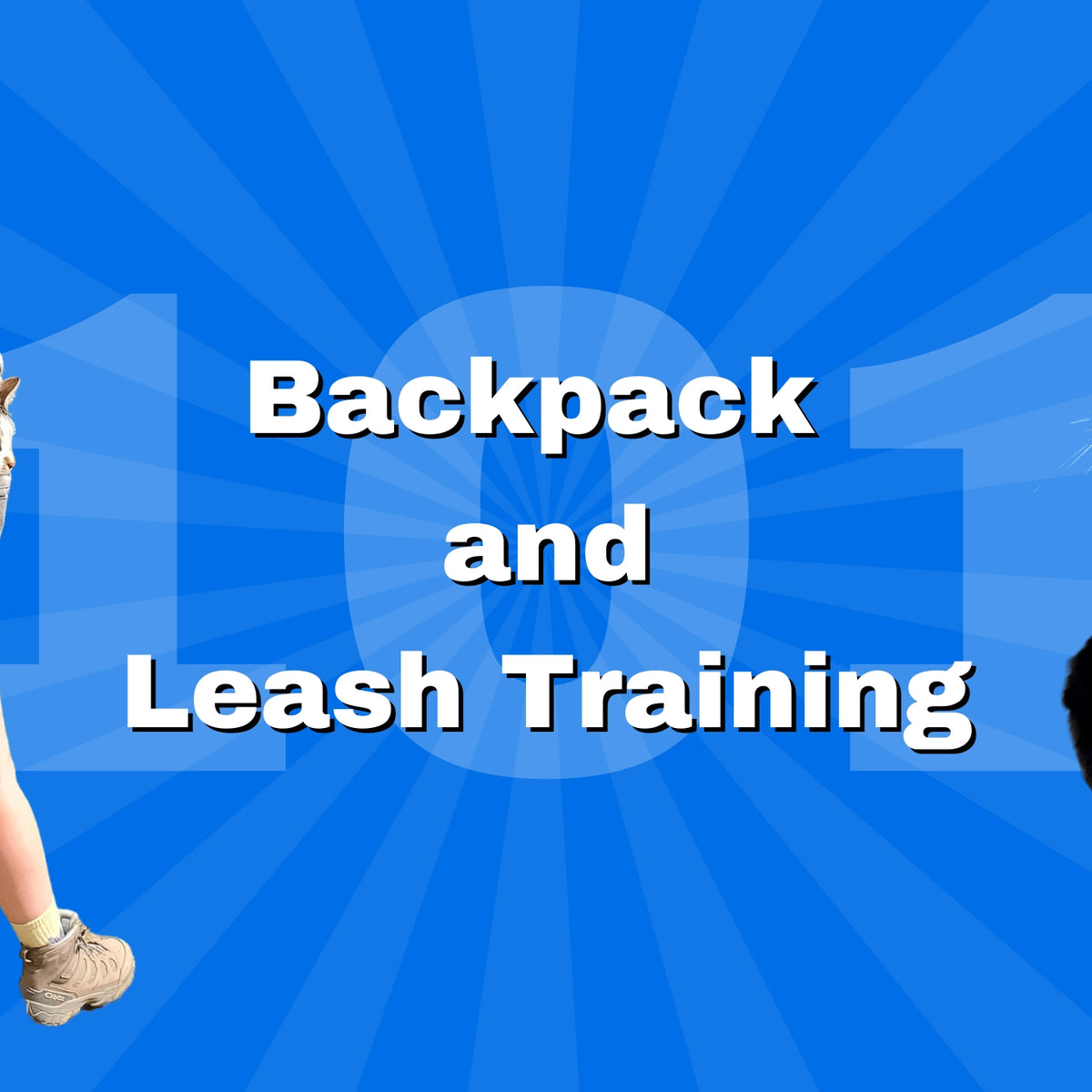 Backpack and Harness Training Tips at the Travel Cat Summit!