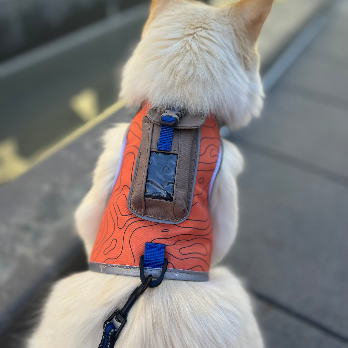 Cat Tracker GPS VS Airtag & Tile