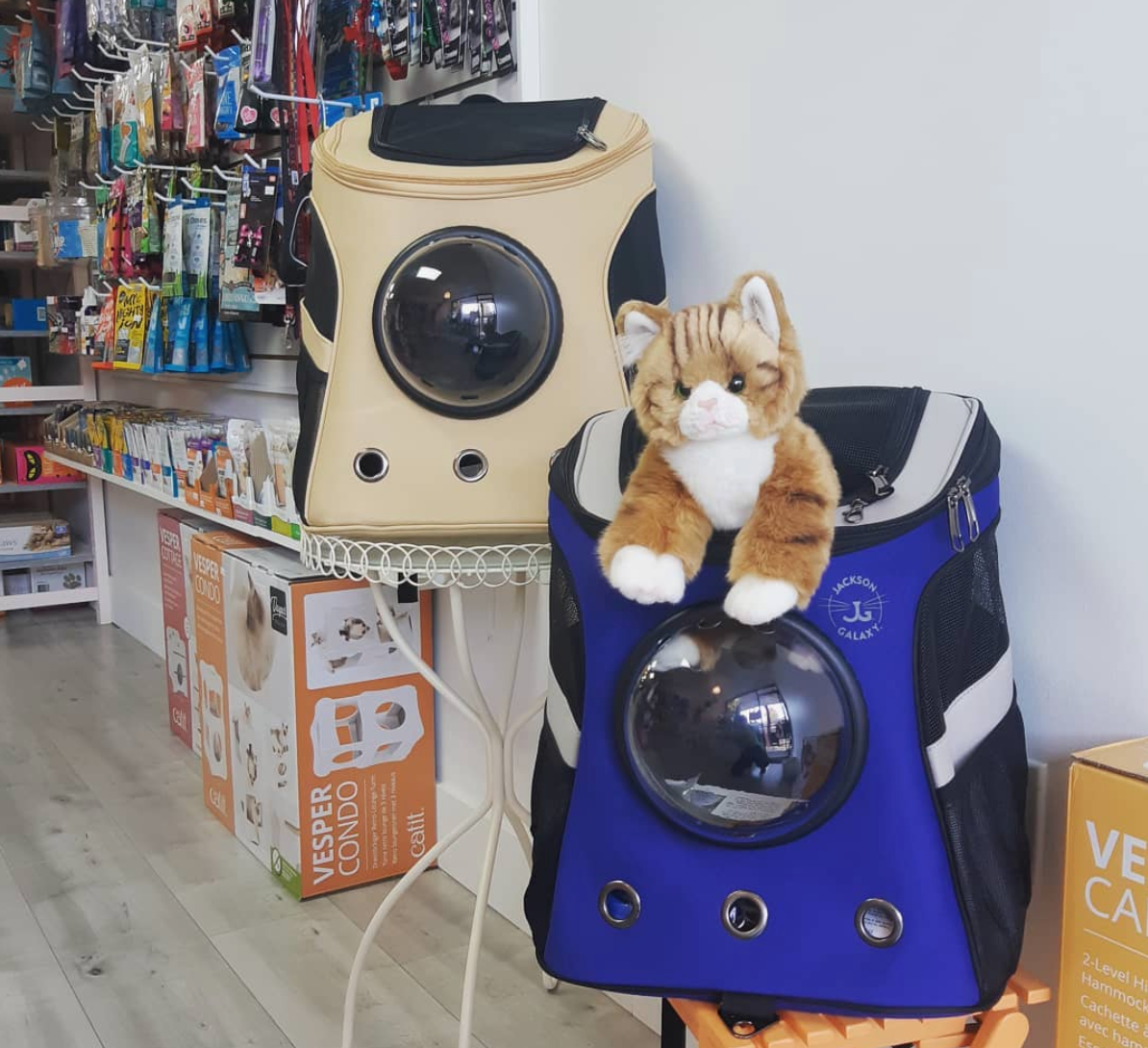 The Best Cat-Focused Stores for Your Feline Friends' Needs