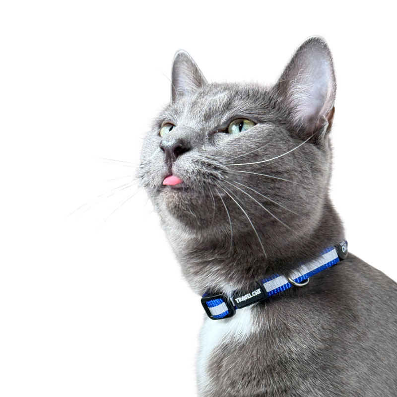 "The Porta-Pawty" Travel Litter Box - Portable Bathroom for Cats