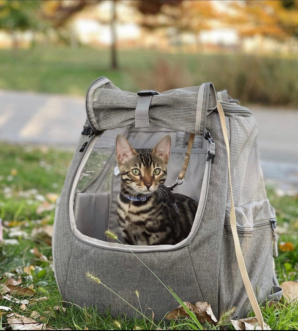 "The Navigator" Convertible Cat Backpack - For Adventurous Cats and Hu