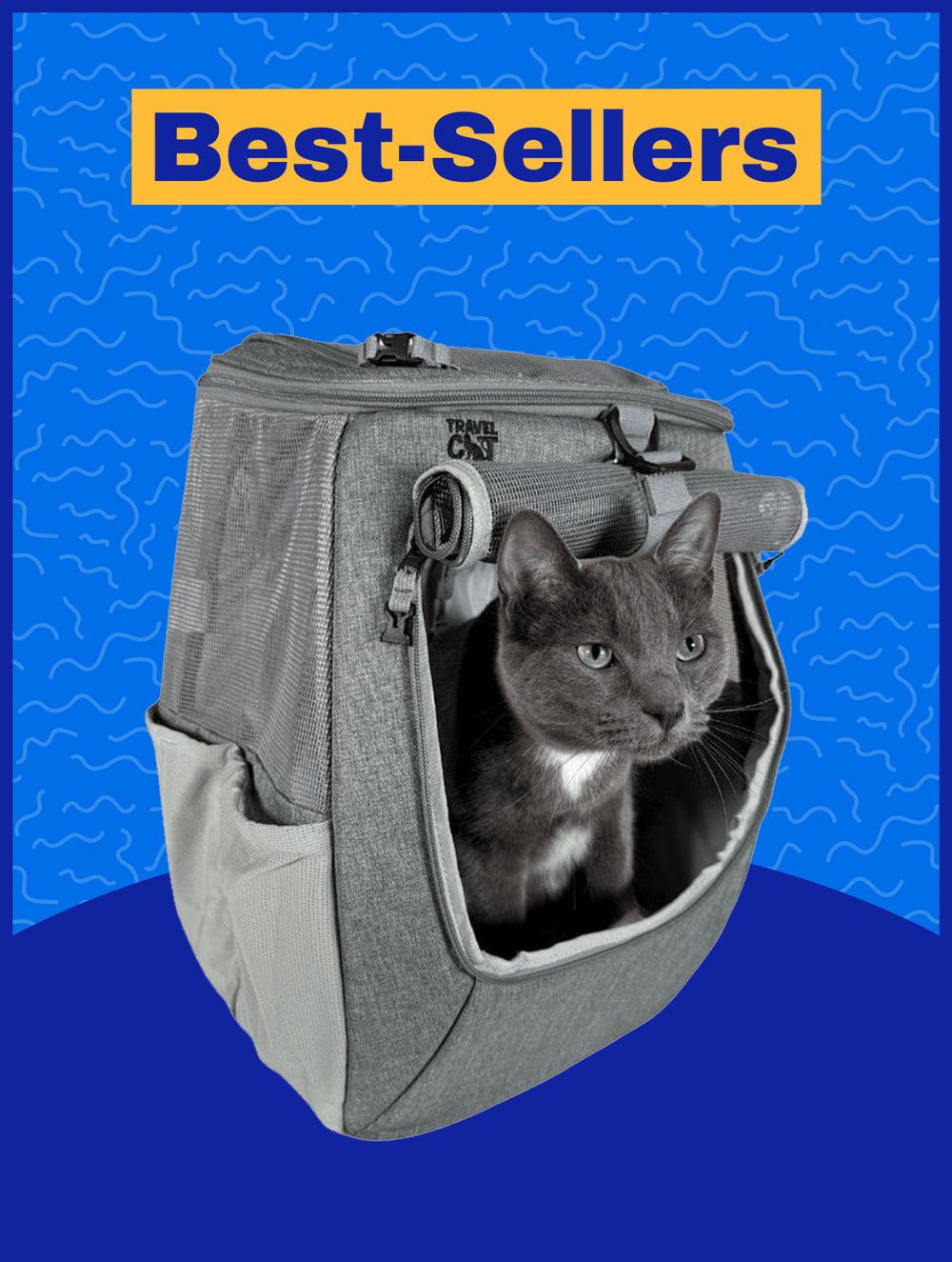 35+ Celebrities Who Love Cats: Actors, Athletes & Musicians Who Are Pr