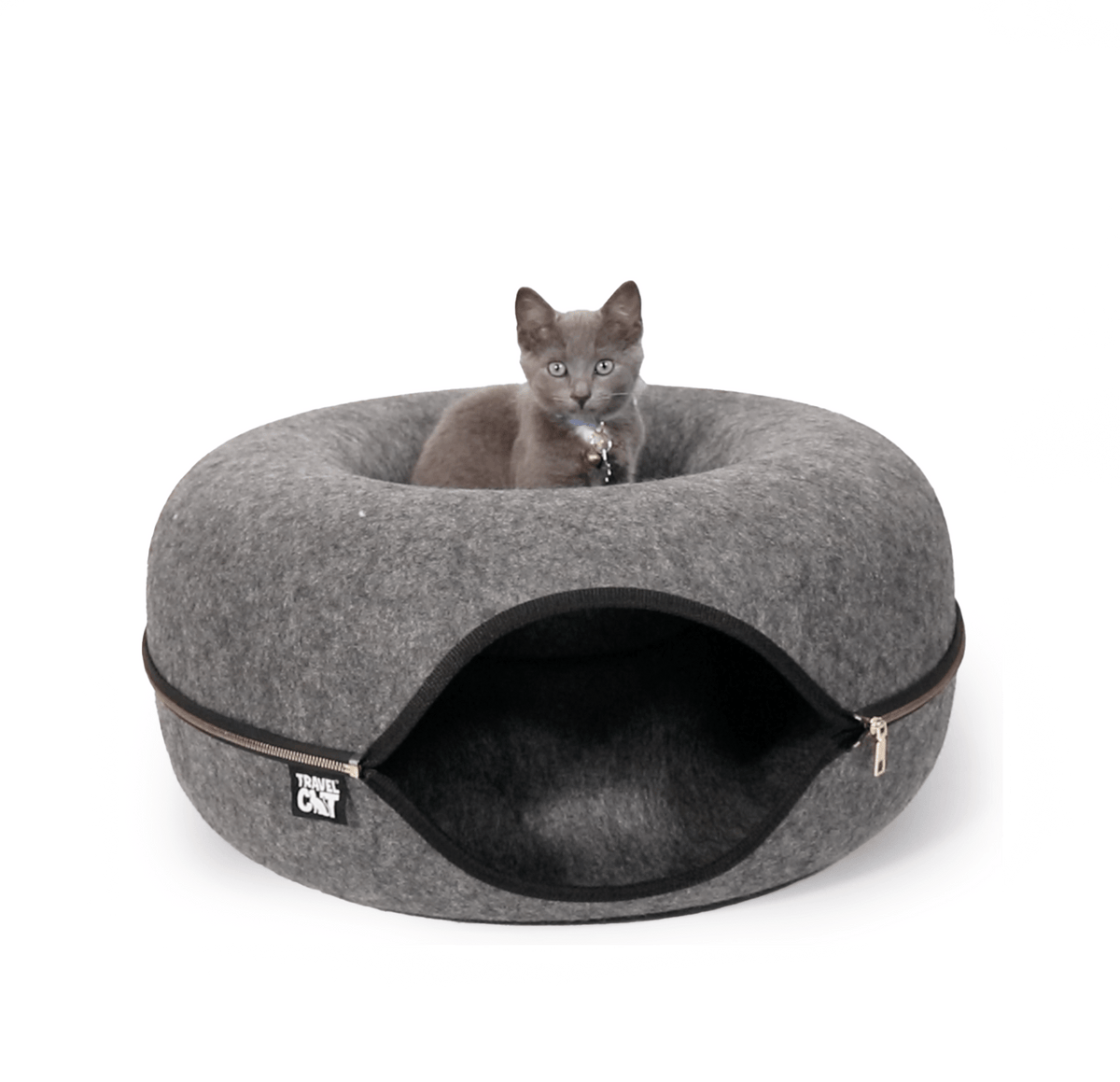 The 7 Best Cat Backpacks for 2024 - Review and Guide