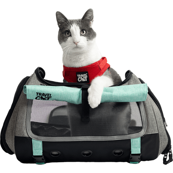 Cat Backpacks - Best Carriers of The Fat Cat Backpack Makers