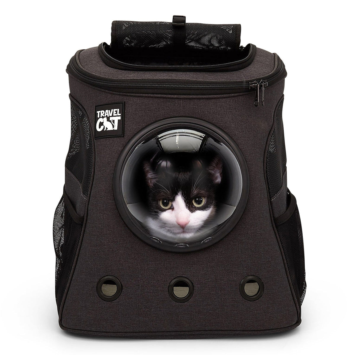 Cat Backpacks - Best Carriers of The Fat Cat Backpack Makers
