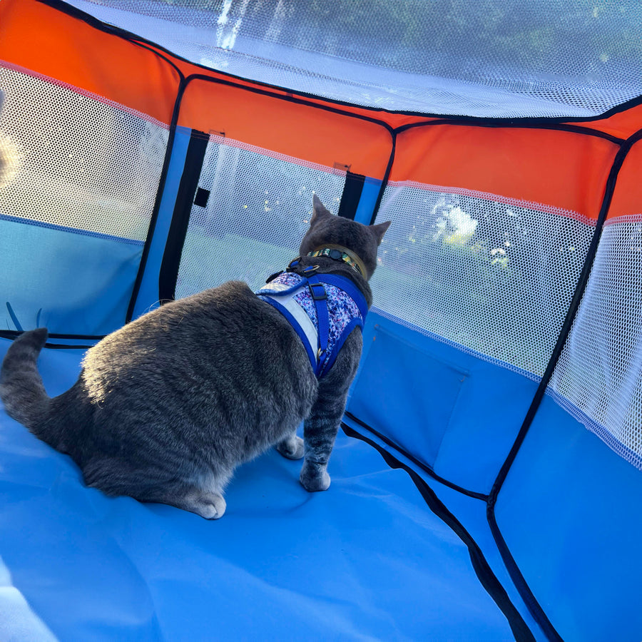 The Feline Fun House - Portable Cat Play Tent