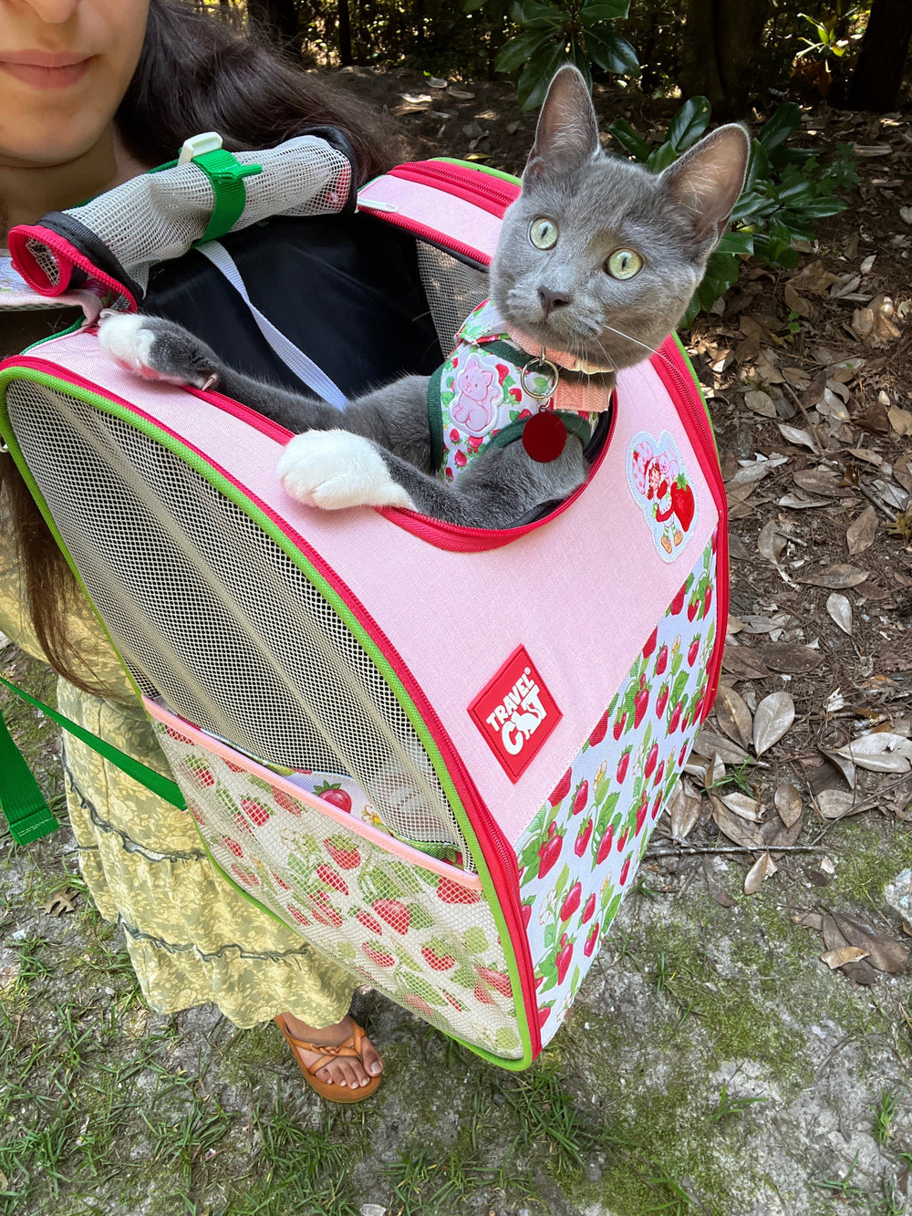 Strawberry Shortcake x Travel Cat - Officially Licensed Collection at