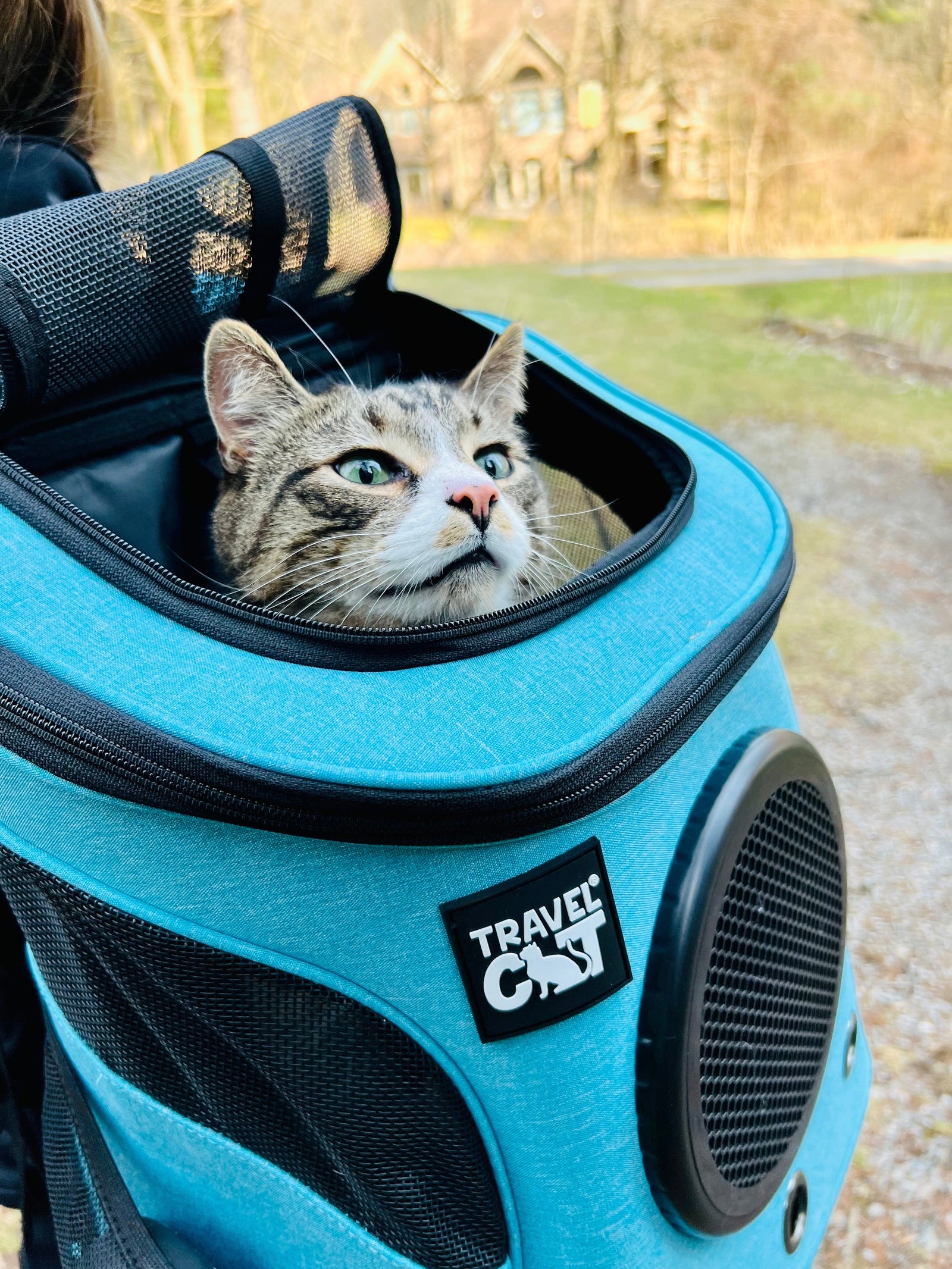 "The Fat Cat" Cat Backpack - For Larger Cats - Bubble Cat Carrier