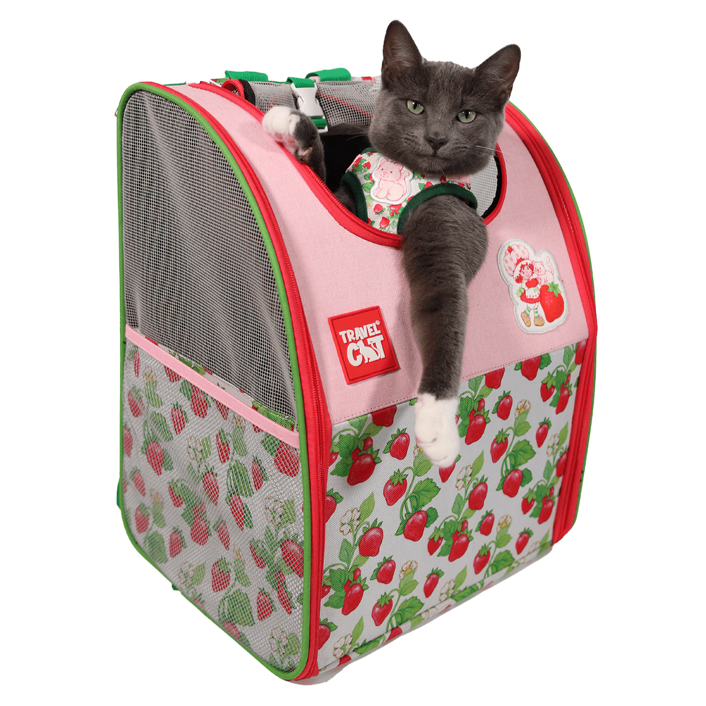 Cat Backpacks - Best Carriers of The Fat Cat Backpack Makers