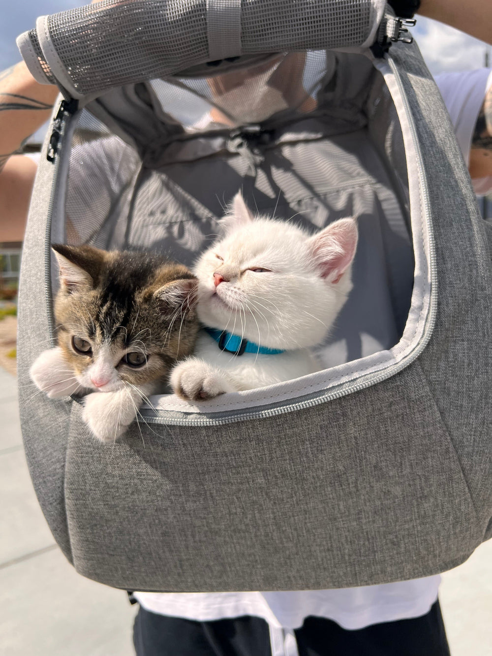 "The Navigator" Convertible Cat Backpack - For Adventurous Cats and Hu