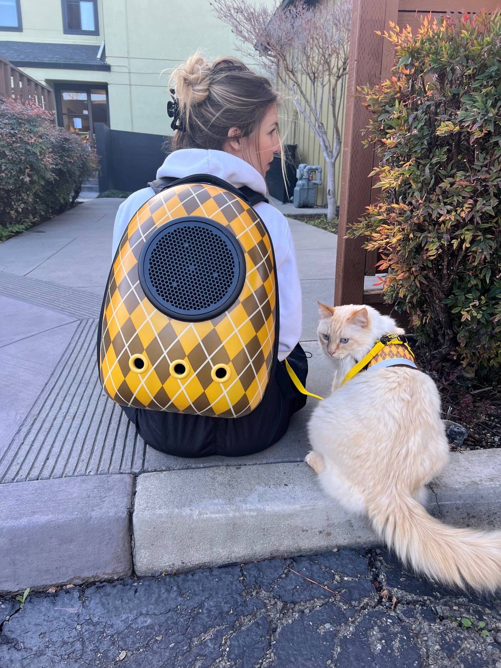 Argylle x Travel Cat Replica Backpack Complete Collection Bundle