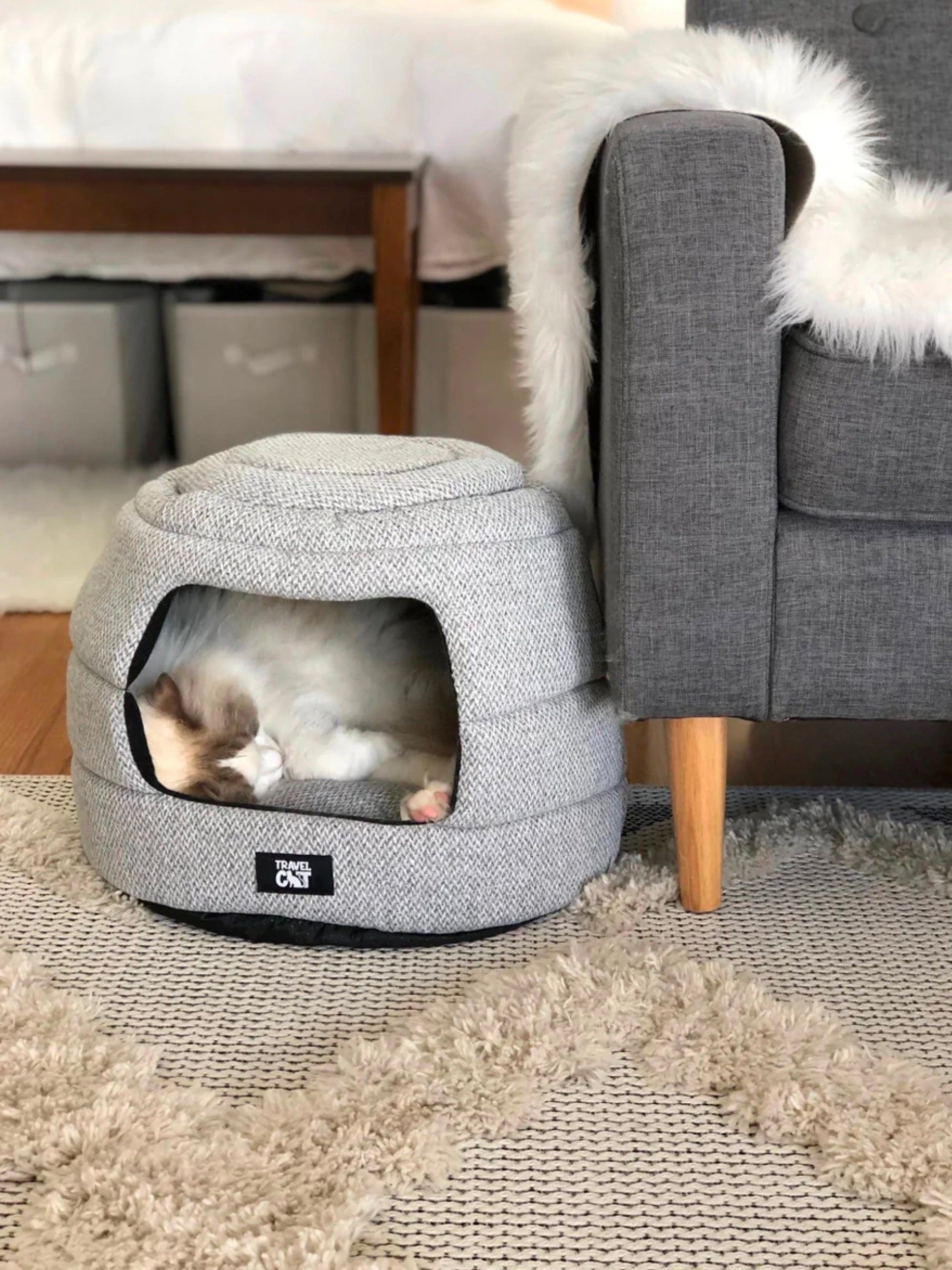 "The Navigator" Convertible Cat Backpack - For Adventurous Cats and Hu