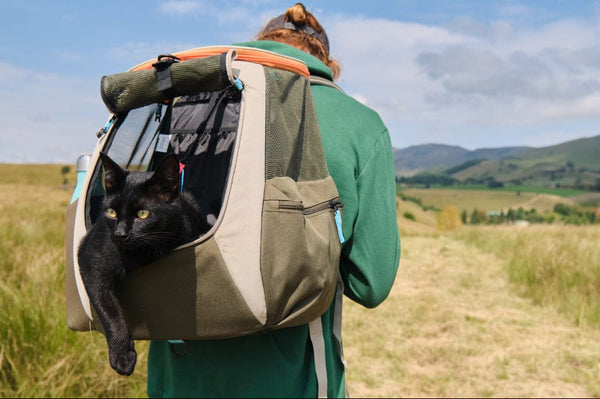 "The Navigator Earth" Cat Backpack & "The True Adventurer" Harness and