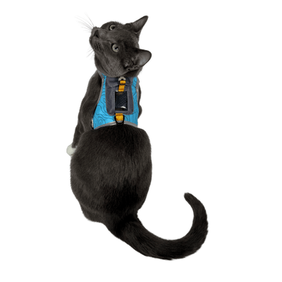 "The Pathfinder" Cat Harness & Tractive Cat GPS & Health Tracker Bundl