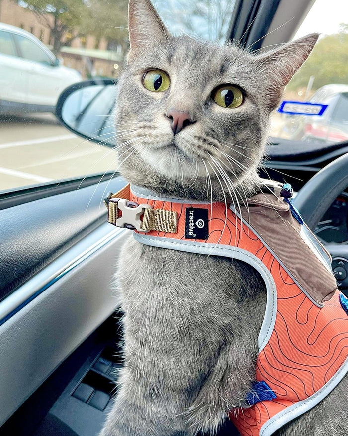 "The Pathfinder" Cat Harness with GPS Tracker Pocket - Powered by Trac