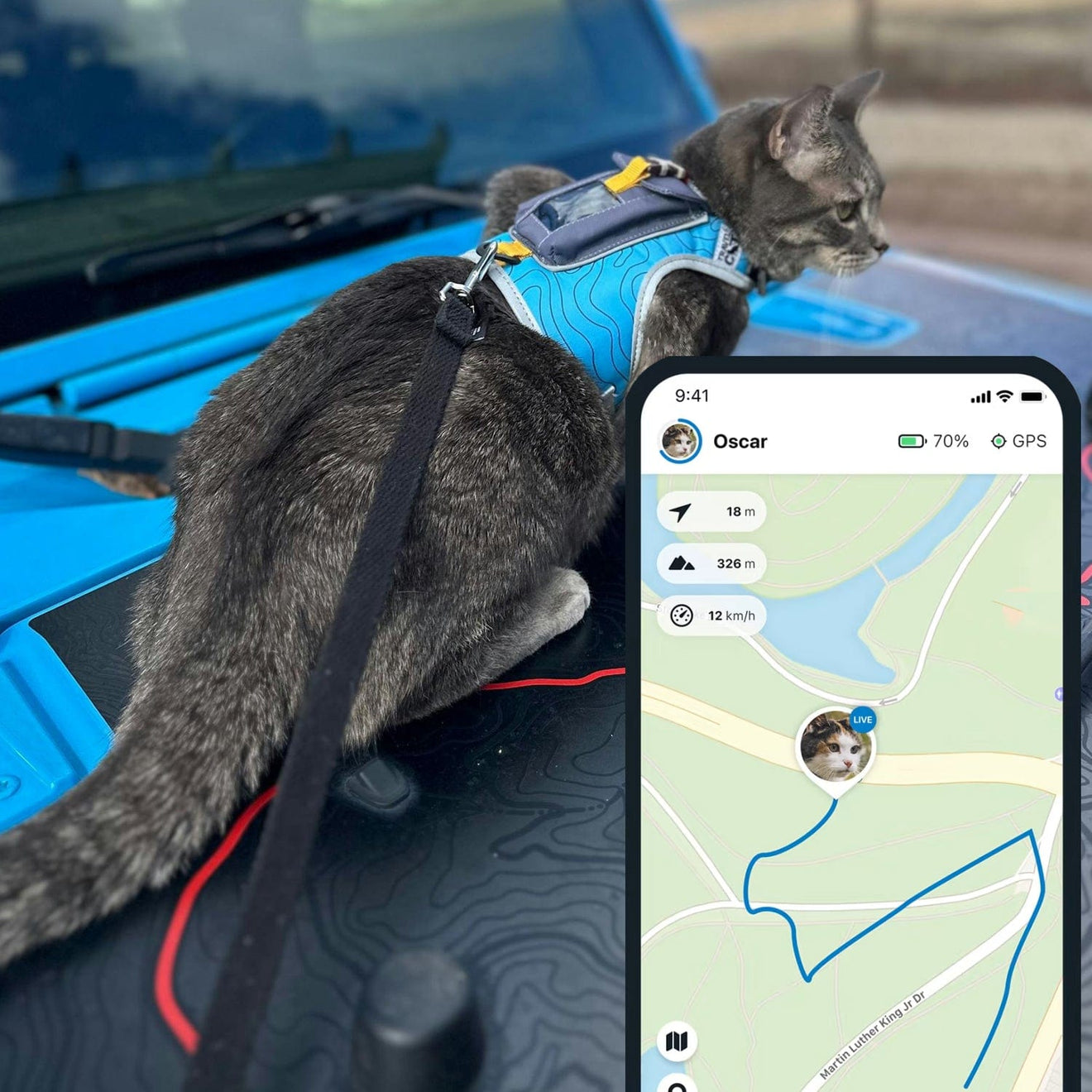"The Pathfinder" Cat Harness with GPS Tracker Pocket - Powered by Trac