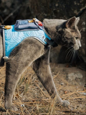 "The Pathfinder" Cat Harness & Tractive Cat GPS & Health Tracker Bundl