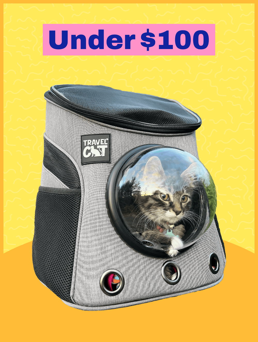 35+ Celebrities Who Love Cats: Actors, Athletes & Musicians Who Are Pr