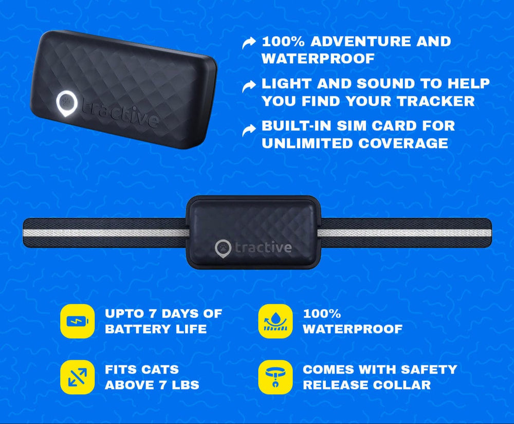 "The Pathfinder" Cat Harness & Tractive GPS Device Bundle