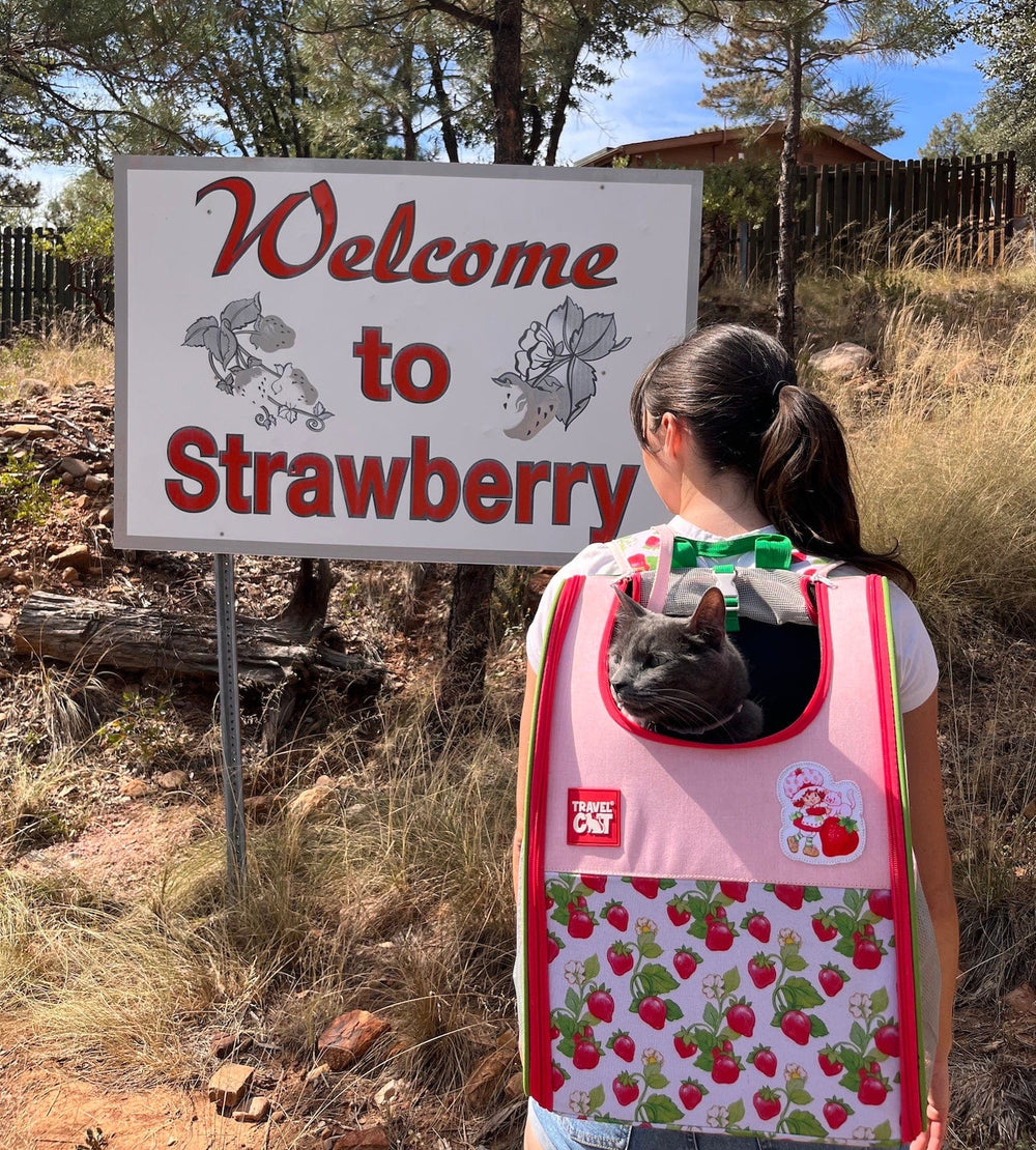 Strawberry Shortcake x Travel Cat - Officially Licensed Collection at
