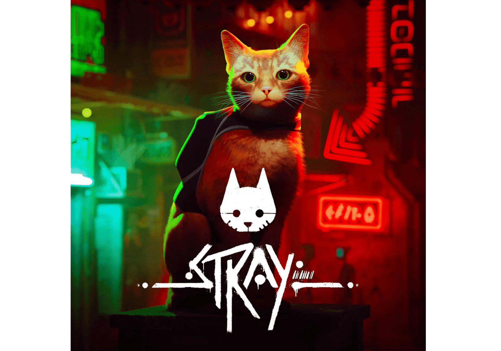 The Stray X Travel Cat Collection