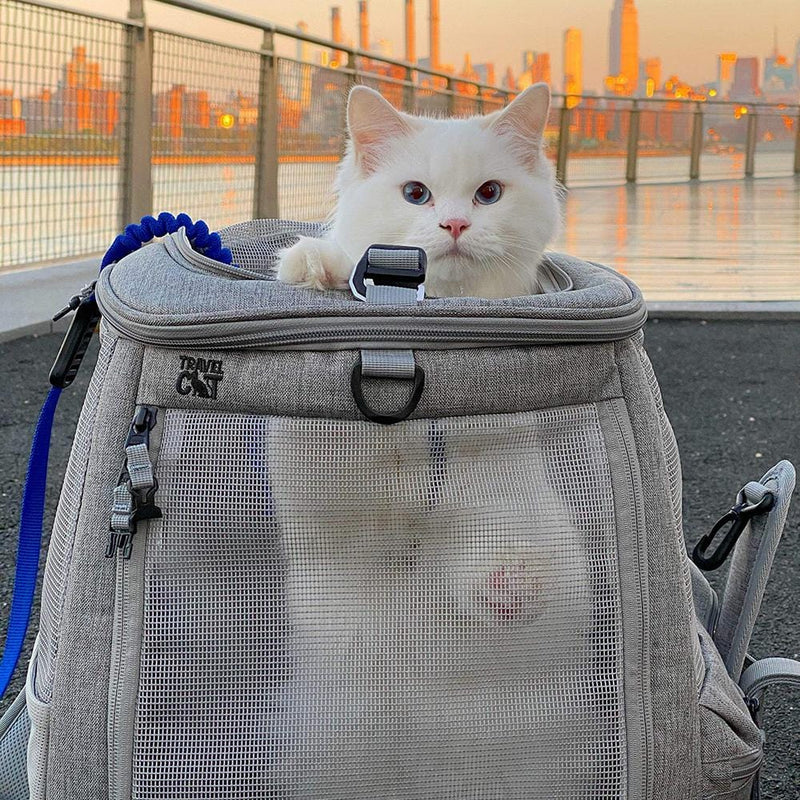 "The Navigator" Convertible Cat Backpack - For Adventurous Cats and Hu