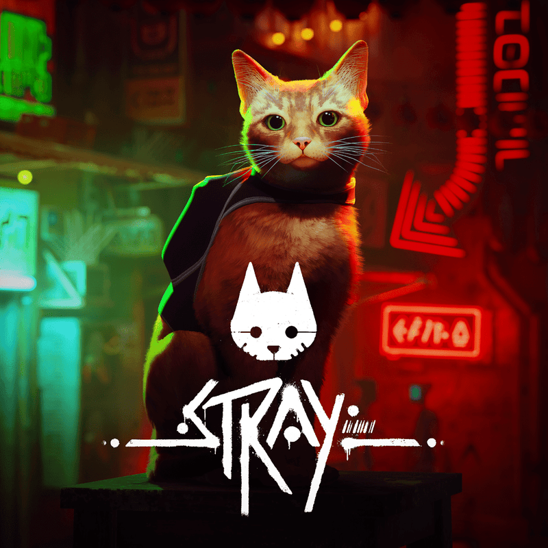 Stray x Travel Cat Harness & Leash Set - Limited Edition