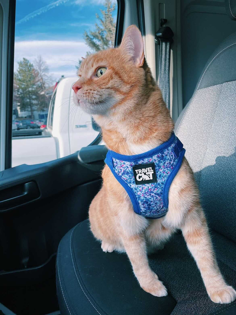 Travel Cat | Your Cat Backpack - The #1 Cat Travel Brand in the World