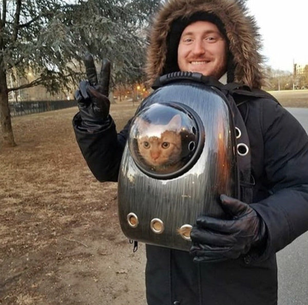 Carriers – Travel Cat | Your Cat Backpack